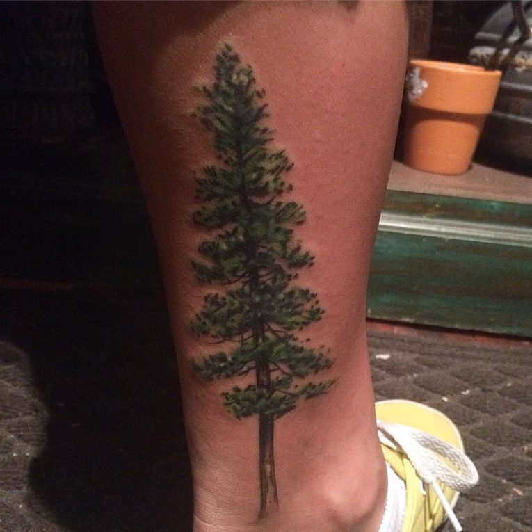75+ Simple and Easy Pine Tree Tattoo - Designs & Meanings (2019)