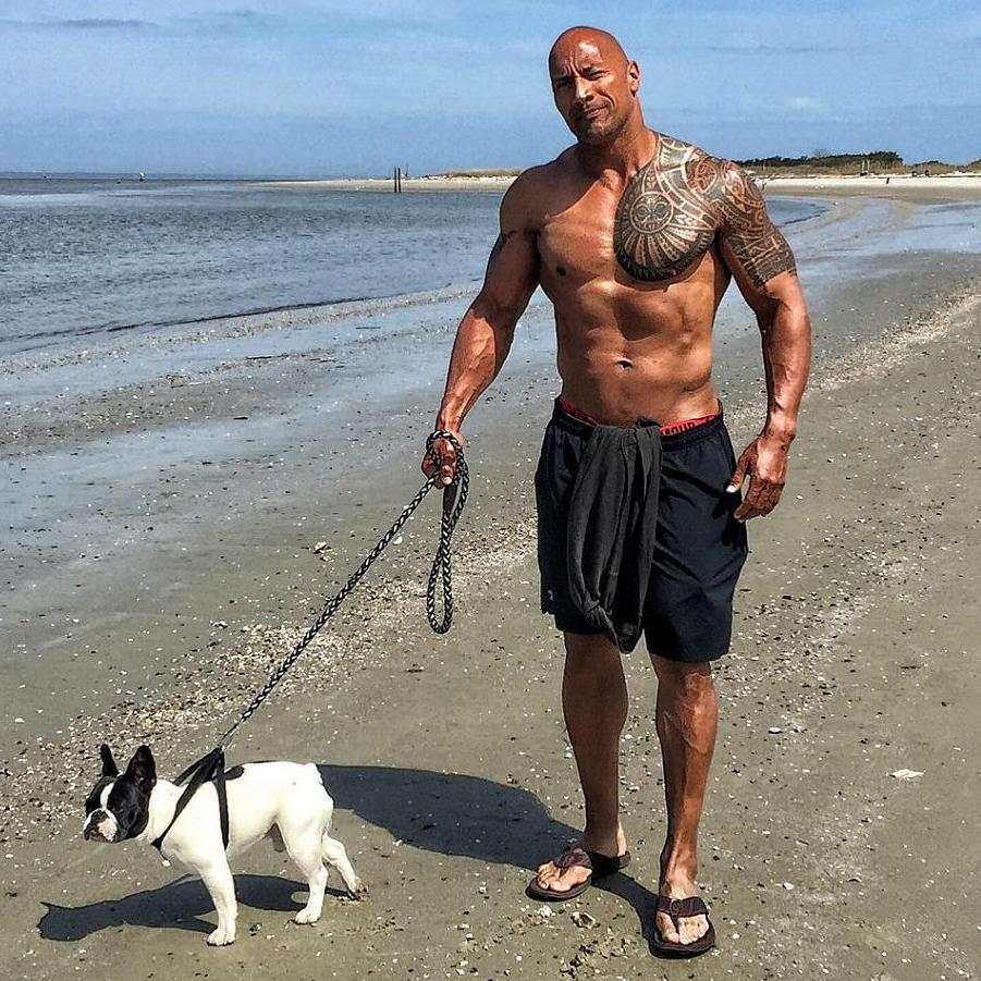 Dwayne Johnson Tattoos - Full Guide and Meanings[2019]