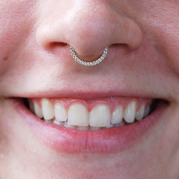 60 Best Septum Piercing Ideas - Jewelry and FAQS[2019]