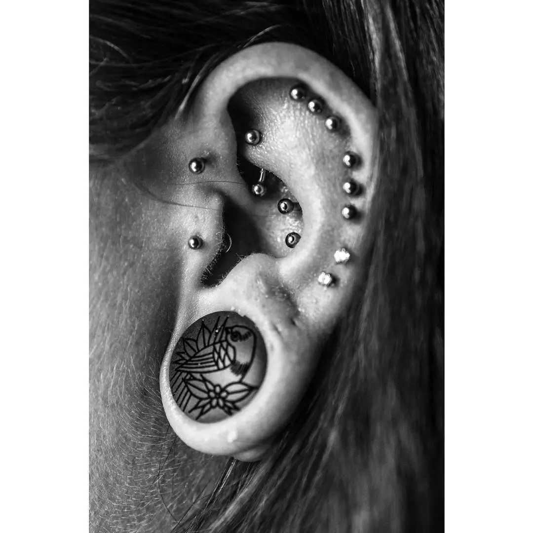 60 Best Conch Piercing Ideas - All You Need to Know (2019)
